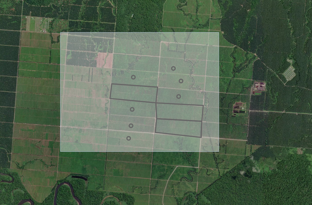 Simplified Data Collection — Collect Earth Online v prod-2025-11-26 ...